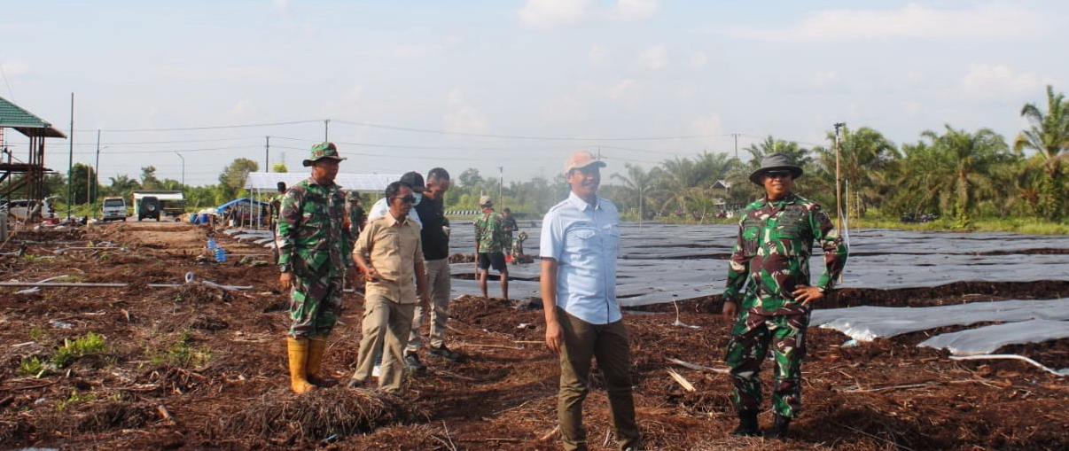 Dandim 1015/Spt Bersama PT RMU Tinjau Lahan Demplot - Kalteng.co ...