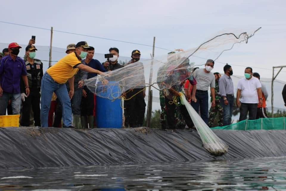 KKP Akan Bantu Pembuatan 1.000 Hektare Tambak di Sukamara - Kalteng.co ...