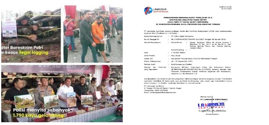 Tipidter Mabes Polri Bongkar Illegal Logging di Kalteng, Beredar ...