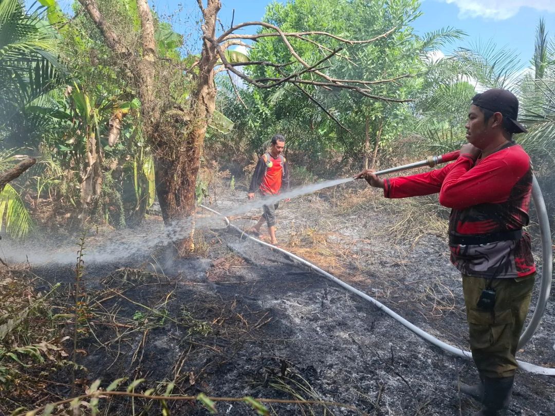 Kebakaran Lahan Merebak, Dalam Sehari Tiga Titik Api di Palangka Raya ...