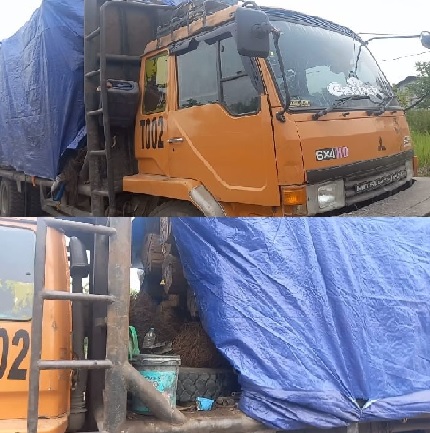 Sarat Muatan Kayu Log, Truk Perusahaan HTI Bebas Melintas di Jalan ...