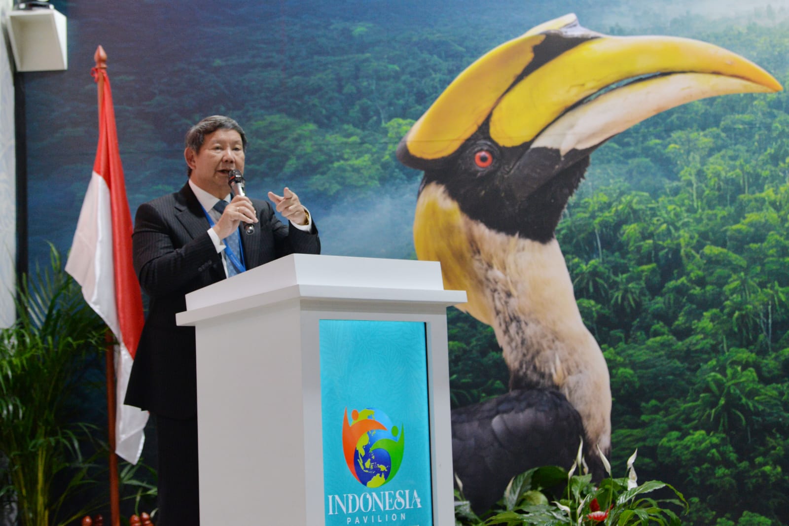 Burung Enggang Endemik Kalimantan: Simbol Keberlanjutan Indonesia di ...